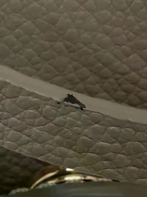 Polene Numéro Un Micro Leather Tote Bag