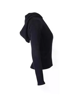 Ralph Lauren Hooded Wool Knitted Sweater - Blue