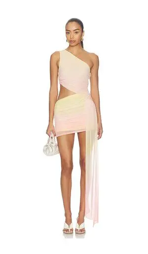 LOVERS AND FRIENDS Viola Mini Dress - Peach