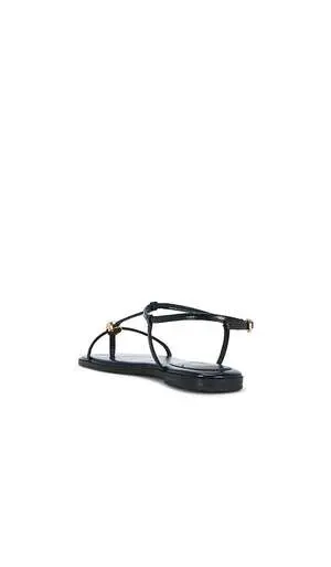 Steve Madden Ritzy Sandal - Black
