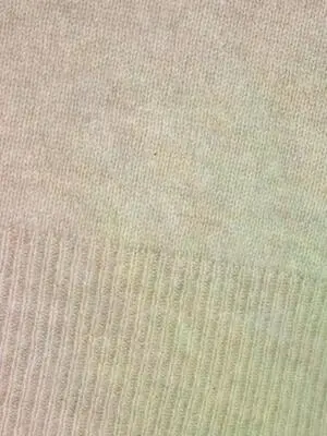 VANISE Vanisé Roll Neck Ribbed Trim Sweater