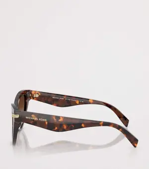 Michael Kors Roanoke Cat Eye Sunglasses - Brown