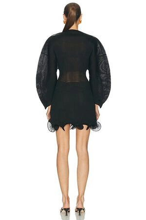 Cult Gaia Jaylie Dress