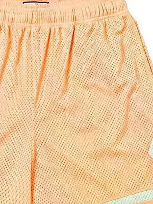 ERIC EMANUEL Ee Basic V2 Mesh Shorts