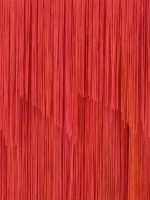 TOM FORD Sleeveless Fringe Detailed Top
