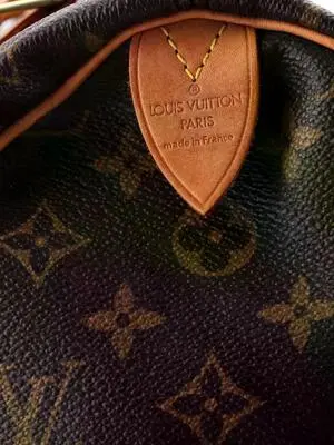 LOUIS VUITTON Monogram Canvas Speedy Satchel