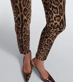 Dolce & Gabbana Leopard-print Leggings