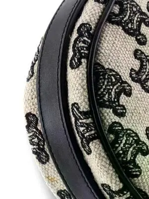 Celine Ava Bag Triomphe Canvas Mini Shoulder Bag