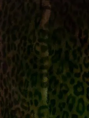 ROTATE BY BIRGER CHRISTENSEN Faux Fur Leopard Print Cropped Jacket
