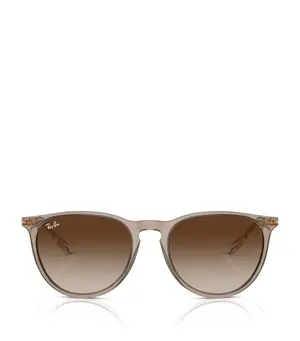 Ray-ban Erika Classic Phantos Sunglasses