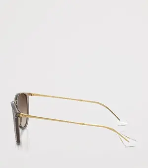 Ray-ban Erika Classic Phantos Sunglasses
