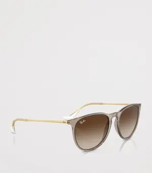 Ray-ban Erika Classic Phantos Sunglasses