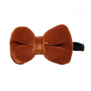 DAVID WEJ Velvet Pretied Bow Tie - Brown