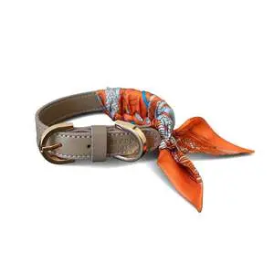 ALECOO Dog Collar Twilly Paris - Orange