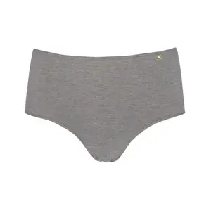 ZD ZERO DEFECTS Atenea High-waist Brief – Stylisht Fit & Comfort With Soy Fiber Color - Grey