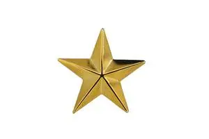 VICKISARGE Big Star Pin - Gold