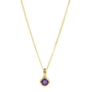 CHARLOTTE'S WEB JEWELLERY February Birthstone Charm Necklace Amethyst - Gold