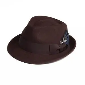DASMARCA HATS Darwin Felt Trilby With Feather - Brown