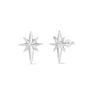 DINNY HALL Silver / White North Star Silver Stud Earrings - Silver/white