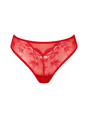 BONBON LINGERIE Griselda Full Brief - Red