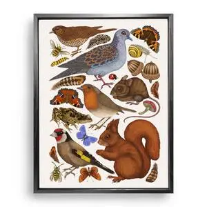 EMILY CARTER Neutrals British Wildlife Fine Art Print A3 - Brown