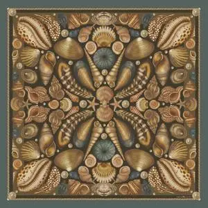 EMILY CARTER Black / Brown The River Shell Silk Scarf L - Black/brown