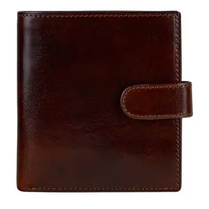 TIME RESISTANCE Leather Bifold Wallet With A Snap Closure Ironweed - Brown