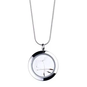 MY LITTLE NATURE Neutrals / Handcrafted Designer Necklace With Natural Dandelion Seeds Make A Wish - Silver