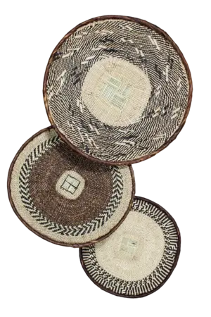 Botanical Boys Neutrals / Tonga Basket Collection Twenty Five - Brown