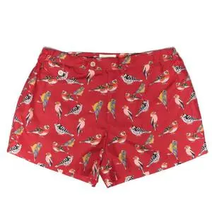 PIER SICILIA Marcello Birds