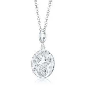 LILY CHARMED Sterling Capricorn Zodiac Charm Necklace Star Sign Necklace - Silver