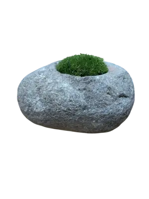 Botanical Boys Green / Grey Indo Riverstone Planted With Preserved Moss Fr71 - Green/grey