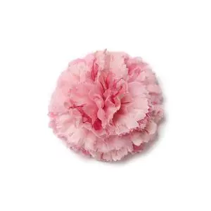 HELENA SIMON The Light Carnation Floral Brooch - Pink