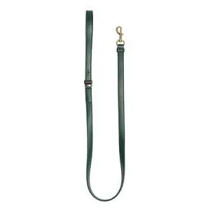 ALECOO Classy Dog Leash Dark Gold - Green