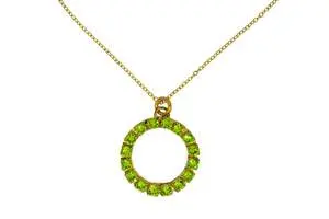 VICKISARGE The Hoop Necklace In Gold Long - Green