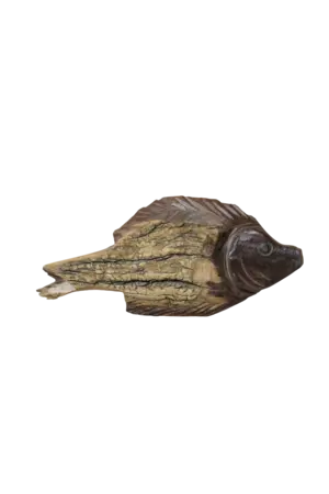 Botanical Boys Driftwood Hand Carved Fish One One Six Sixteen - Brown