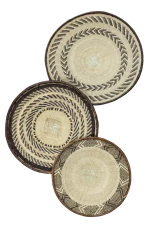 Botanical Boys Neutrals / Tonga Basket Collection Ninety Five - Brown