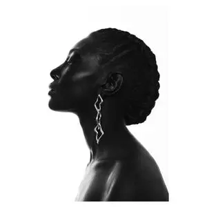DARIA PACELLI JEWELRY Polaire Asymmetrical Earrings - Silver