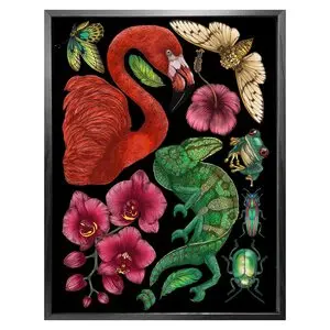 EMILY CARTER Antique Tropical Flora & Fauna Fine Art Print A5 - Black
