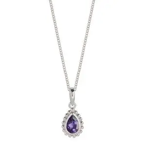 CHARLOTTE'S WEB JEWELLERY Purple / Silver February Birthstone Sterling Silver Necklace Amethyst - Purple/silver