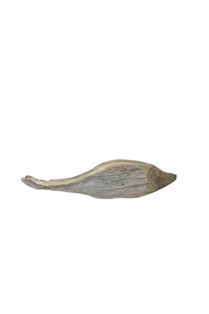 Botanical Boys Driftwood Hand Carved Fish Fifteen Four - Brown