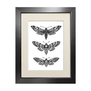EMILY CARTER Hawk Moths' Fine Art Print A4 - Black
