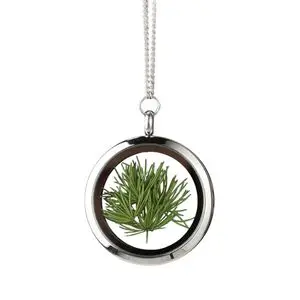 MY LITTLE NATURE Green / Silver Designer Jewelry Necklace With Natural Pine Needles Nature Inspired Jewellery - Green/silver