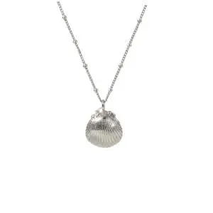 DAINTY LONDON Dainty Seashell Necklace - Silver