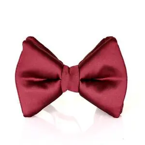 DAVID WEJ Silk Bow Tie Wine - Red