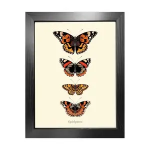 EMILY CARTER Antique British Butterflies Iv' Fine Art Print A3 - Gold