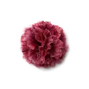 HELENA SIMON The Dark Carnation Floral Brooch - Pink