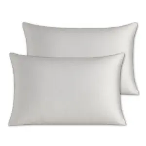HI SILK Mulberry Silk Housewife Pillowcase Set Of Two Twenty Five Momme - Silver
