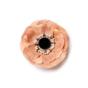 Helena Simon Bar Pins And Brooches For Women