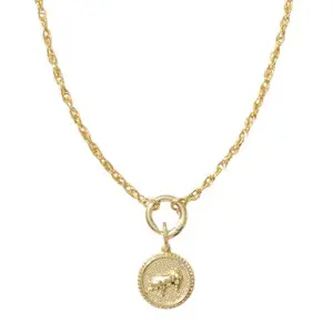 ALEXIE OF ATHENS Lunar Long Chain Medallion Necklace - Gold